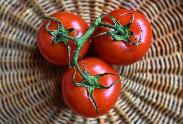 Khasiat Makan Buah Tomat Ternyata Sangat Mencengangkan - GenPI.co Khasiat Makan Buah Tomat Ternyata Sangat Mencengangkan - GenPI.co